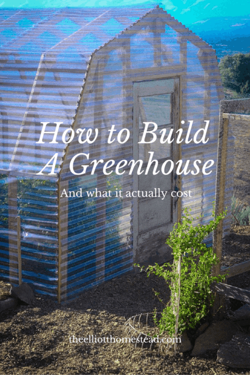 25 Creative DIY Green House Ideas for Your Backyard