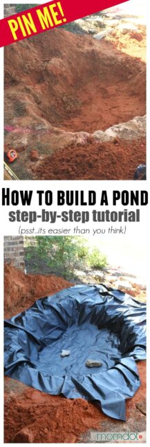 18 Unique DIY Backyard Pond Ideas Anyone Can Build