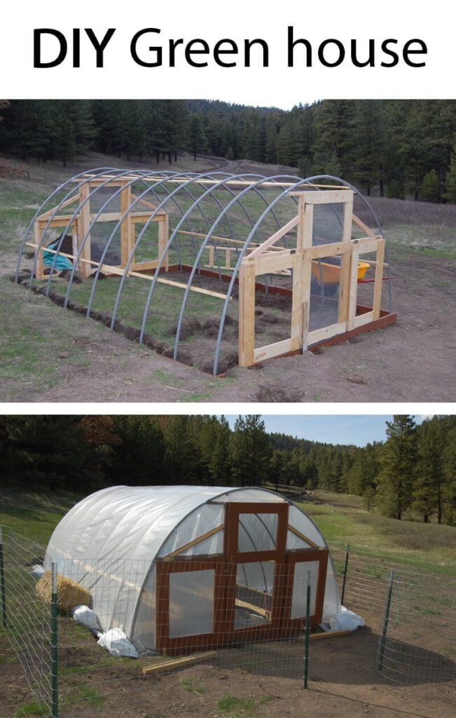 25 Creative DIY Greenhouse Ideas for Your Backyard