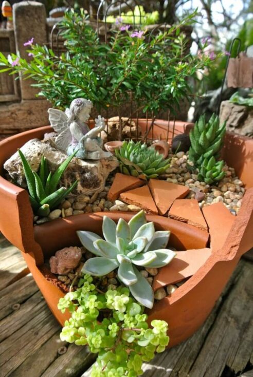 33 Unique Succulent Planter Ideas for Indoor & Outdoor