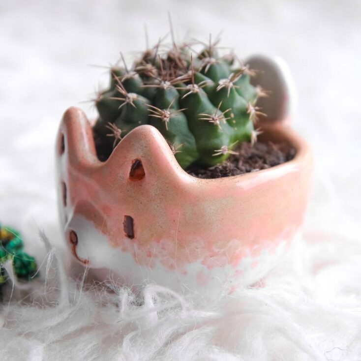 37 Unique Cute Planter Ideas for Indoor and Outdoor Spaces