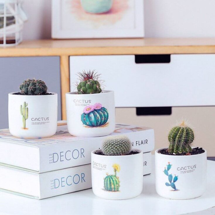 37 Unique Cute Planter Ideas for Indoor and Outdoor Spaces