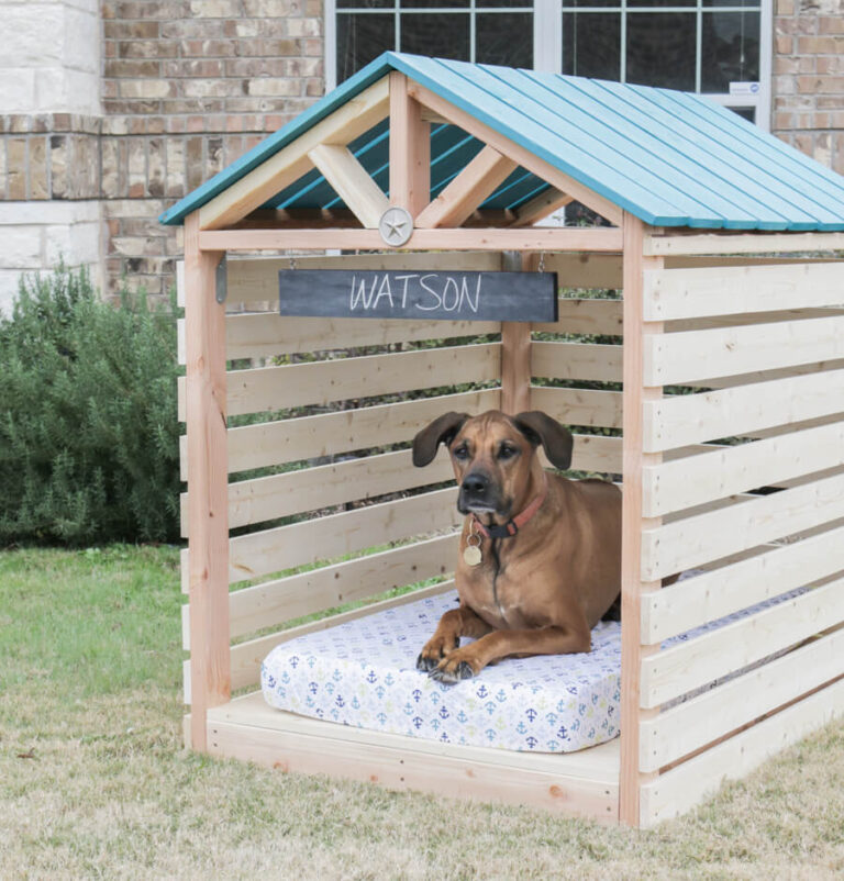 18 DIY Insulated Outdoor Dog House Ideas Your Pet Will Love