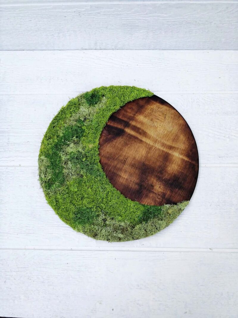 29 DIY Moss Wall Art Ideas to Bring Nature Indoors