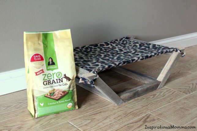 23 Adorable DIY Pet Projects for Cats and Dogs