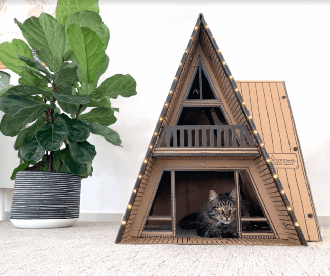 23 Adorable DIY Pet Projects for Cats and Dogs
