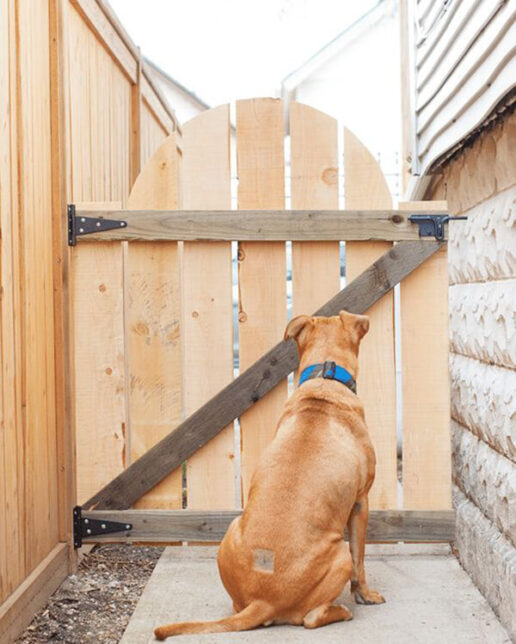 12 Creative DIY Garden Gate Ideas for a Stunning Entrance