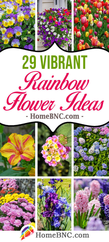 27 Vibrant Rainbow Flowers to Plant for a Garden in 2023