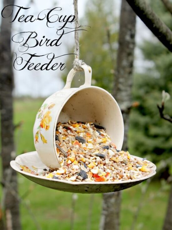 21 Charming Tea Cup Upcycle Ideas for Home and Garden