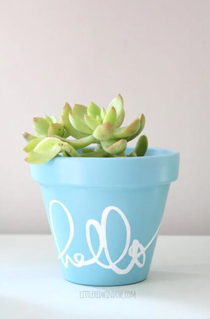 23 Vibrant Painted Flower Pot Ideas For Your Space