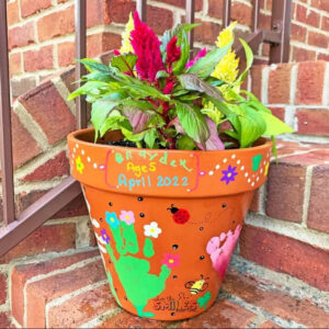 23 Flower Pot Painting Ideas to Reinvigorate Your Space in 2023