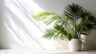 Indoor Palm Tree Care: Complete Guide for Healthy Plants
